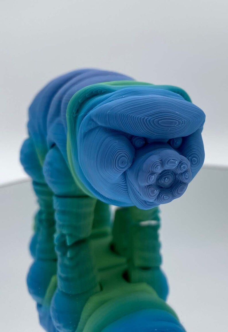 Tardigrade 3D Print Waterbear 3D - Etsy