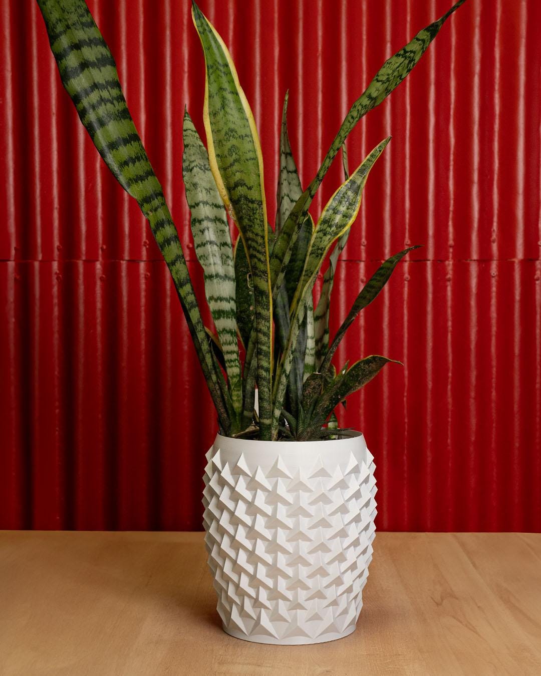 Pointy Flowerpot | for Plants of All Kind | Pointy Shaped Flower Vase ...