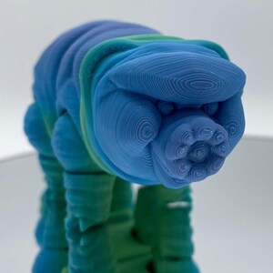 Tardigrade Toy | Unique Waterbear Desk Decor for Office & Home Desk ...