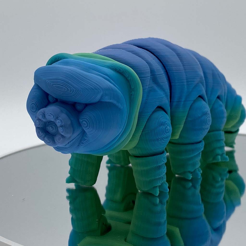 Tardigrade 3D Print Waterbear 3D - Etsy