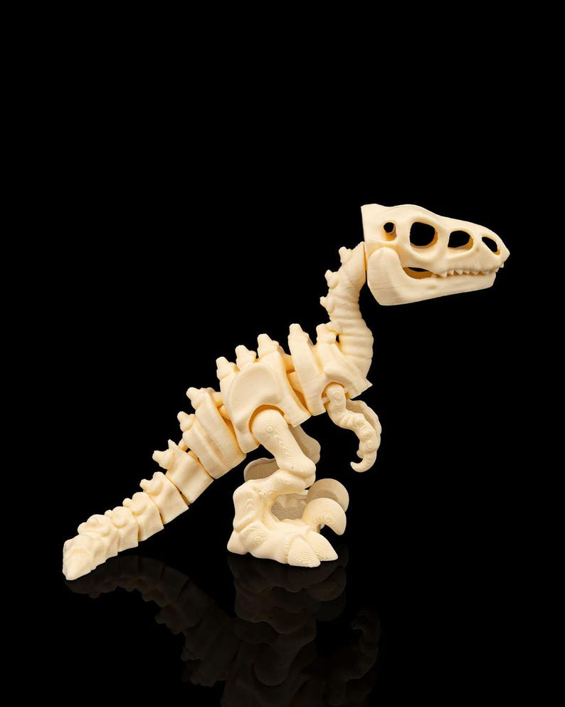 Bundle of 6 Mini Dinosaur Skeleton Figurines – Fossil Toy Set, STEM ...