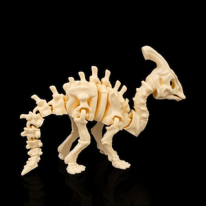 Bundle of 6 Mini Dinosaur Skeleton Figurines – Fossil Toy Set, STEM ...