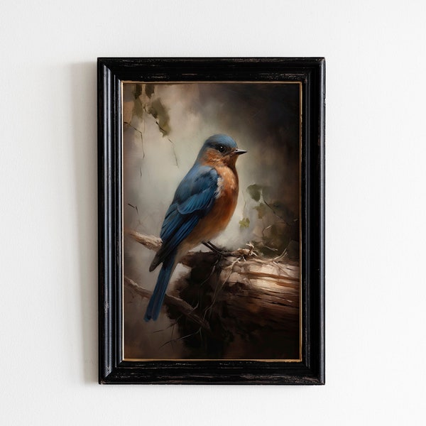 Vintage Bluebird - Etsy