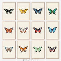 Butterfly Poster - Etsy