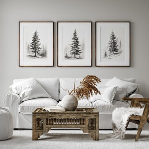 3 Rustic Fir Tree Sketches | Minimalist Wall Art | Botanical Prints ...