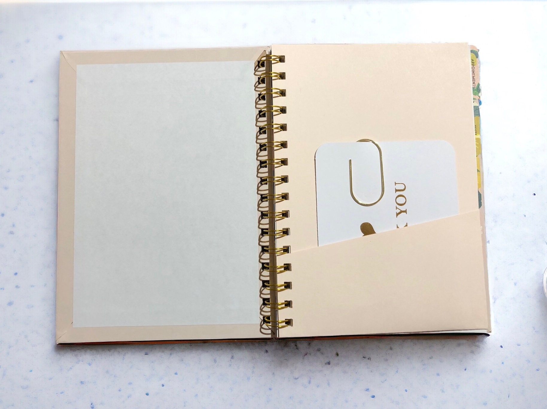 MEDICAL APPOINTMENT NOTEBOOK: Appointment Notes, Test Results and ...