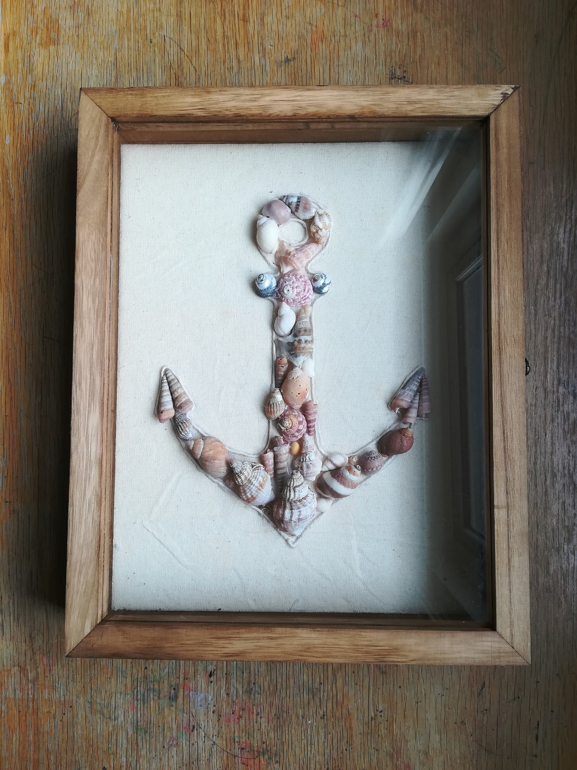 Seashell Designs - Etsy