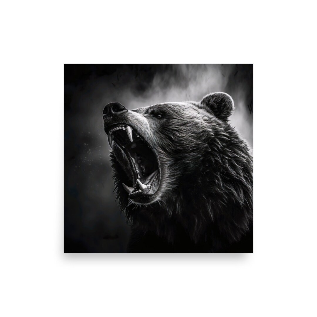 Furious Bear Portrait Poster, High-contrast Black and White Photography ...