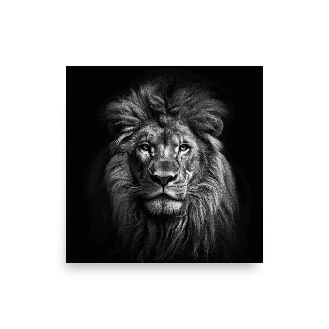 Lion Portrait Poster, Black and White Photography, Wildlife and ...