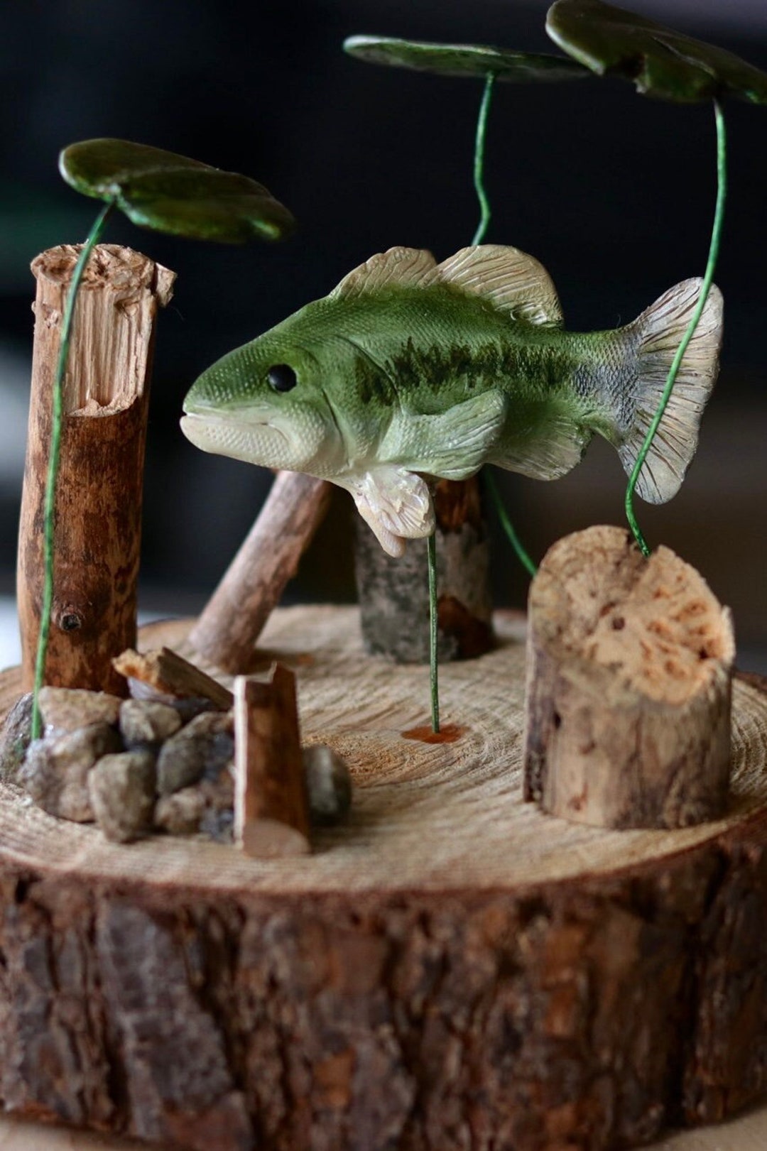 Custom Fish Diorama - Etsy