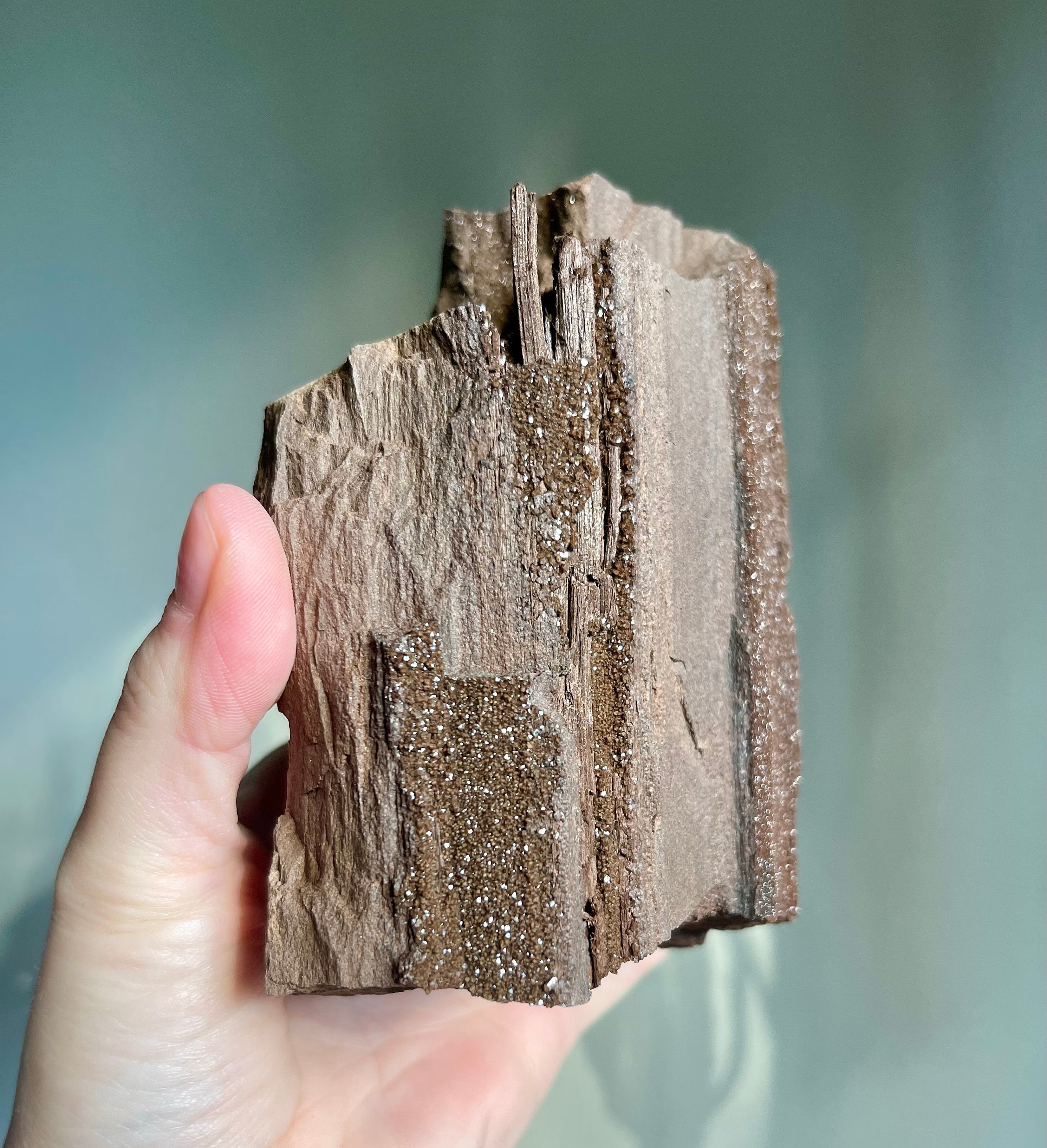 Rare Triassic Permineralized Fossil Wood With Sparkling Druzy Crystals ...