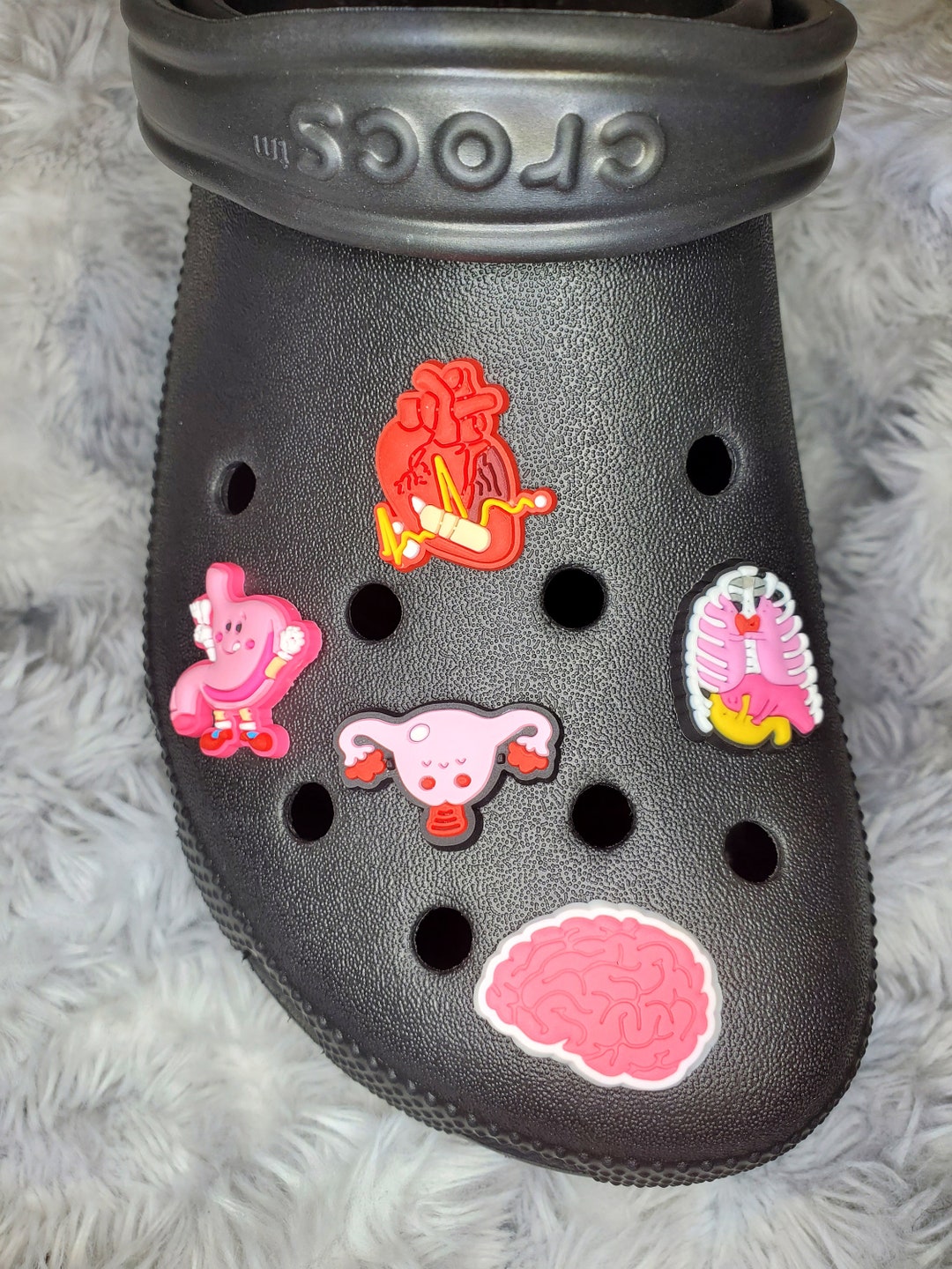 Anatomical Croc Charms, Medical Croc Charms, Shoe Charms - Etsy