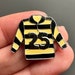 Chester Coat of Arms Crest Heraldic Lapel Pin Badge Brooch - Etsy