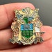 Chester Coat of Arms Crest Heraldic Lapel Pin Badge Brooch - Etsy