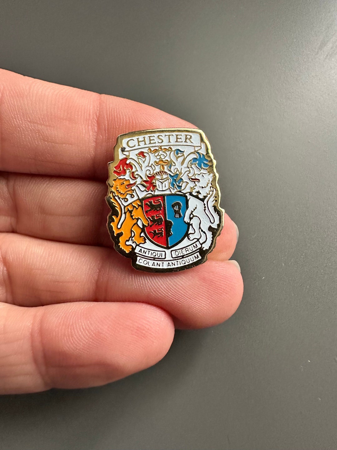 Chester Coat of Arms Crest Heraldic Cathedral Lapel Pin Badge Brooch - Etsy