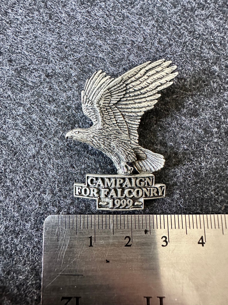 1999 Campaign for Falconry Bird of Prey Falcon Bird Handling A R Brown ...