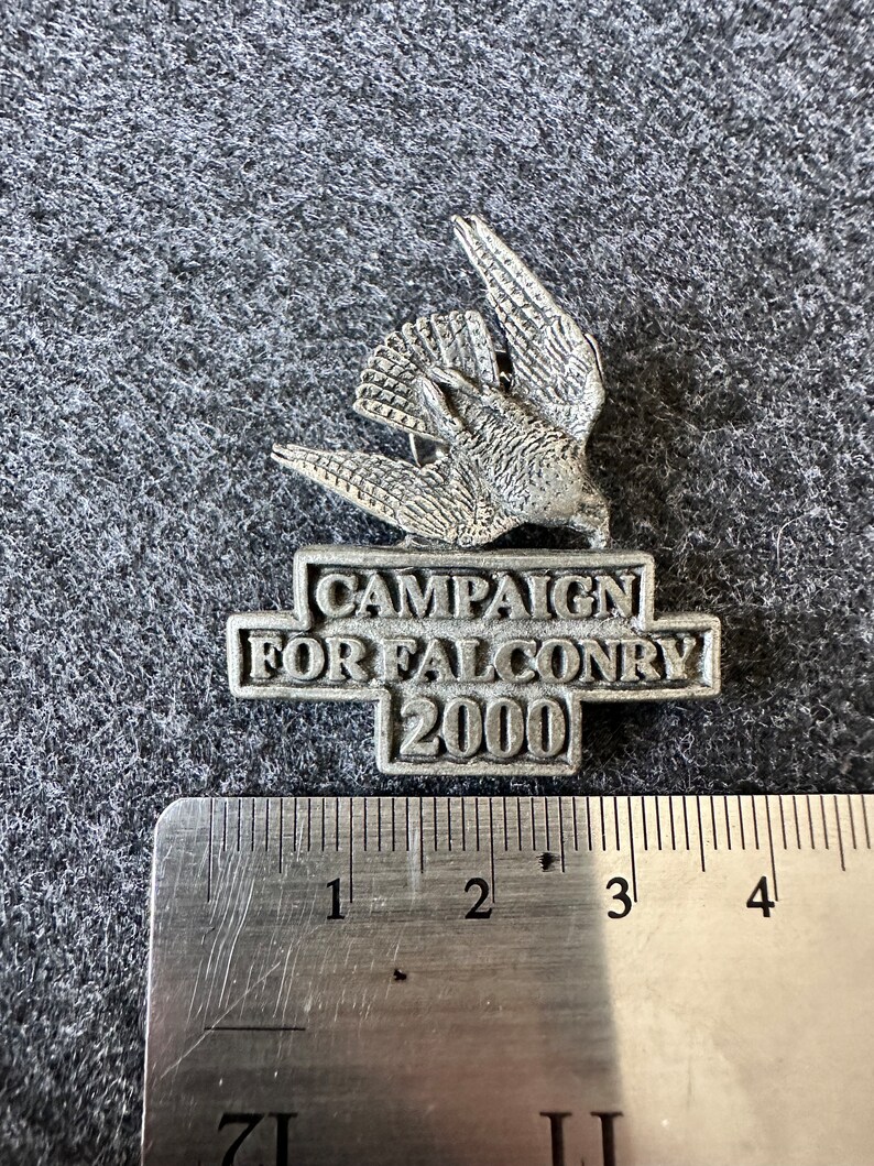 2000 Campaign for Falconry Bird of Prey Falcon Bird Handling A R Brown ...