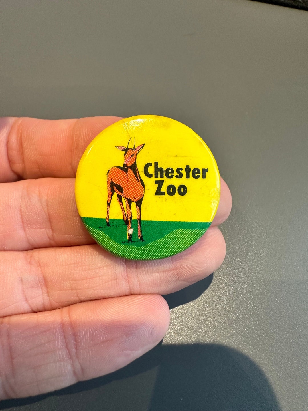 Vintage Tin Badge Chester Zoo Roe Buck Deer Bambi Button Lapel Pin - Etsy