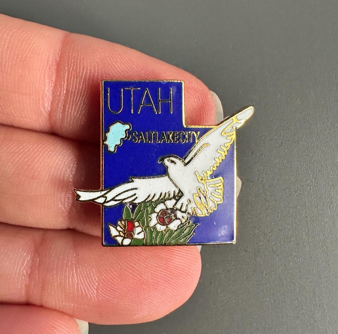 1970s Utah Salt Lake City California Gull US State USA Enamel Lapel Pin ...