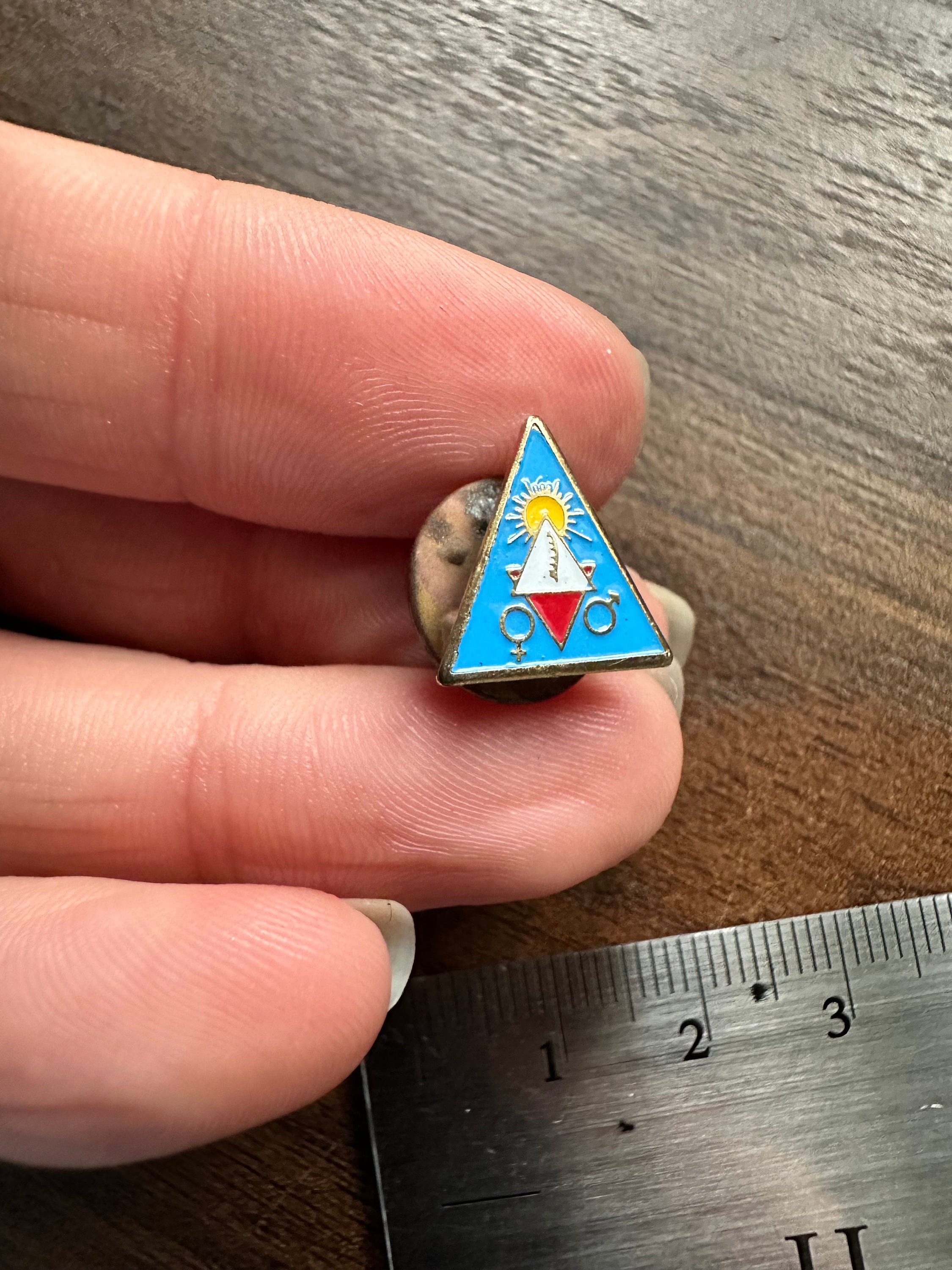 Vintage Triangle Pyramid Logo Sun Rising Male and Female Enamel Lapel ...
