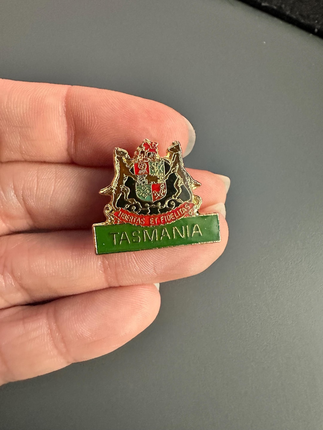 Vintage State of Tasmania Coat of Arms Heraldic Shield Enamel Lapel Pin ...