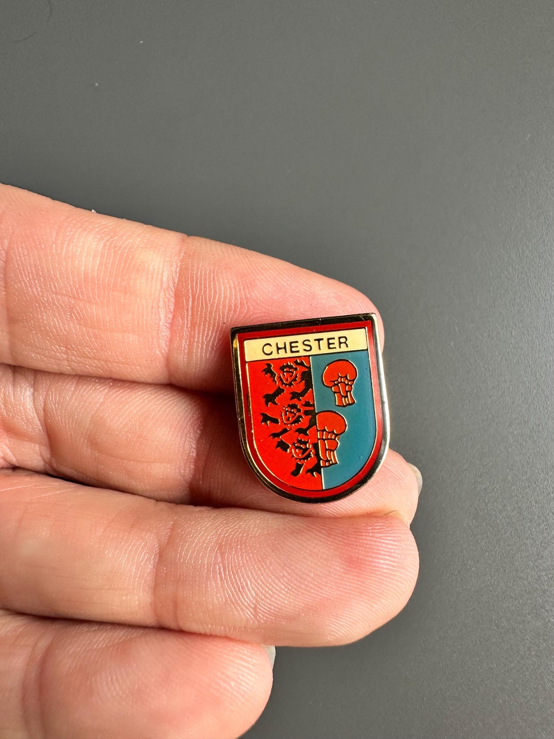 Chester Coat of Arms Crest Heraldic Lapel Pin Badge Brooch - Etsy