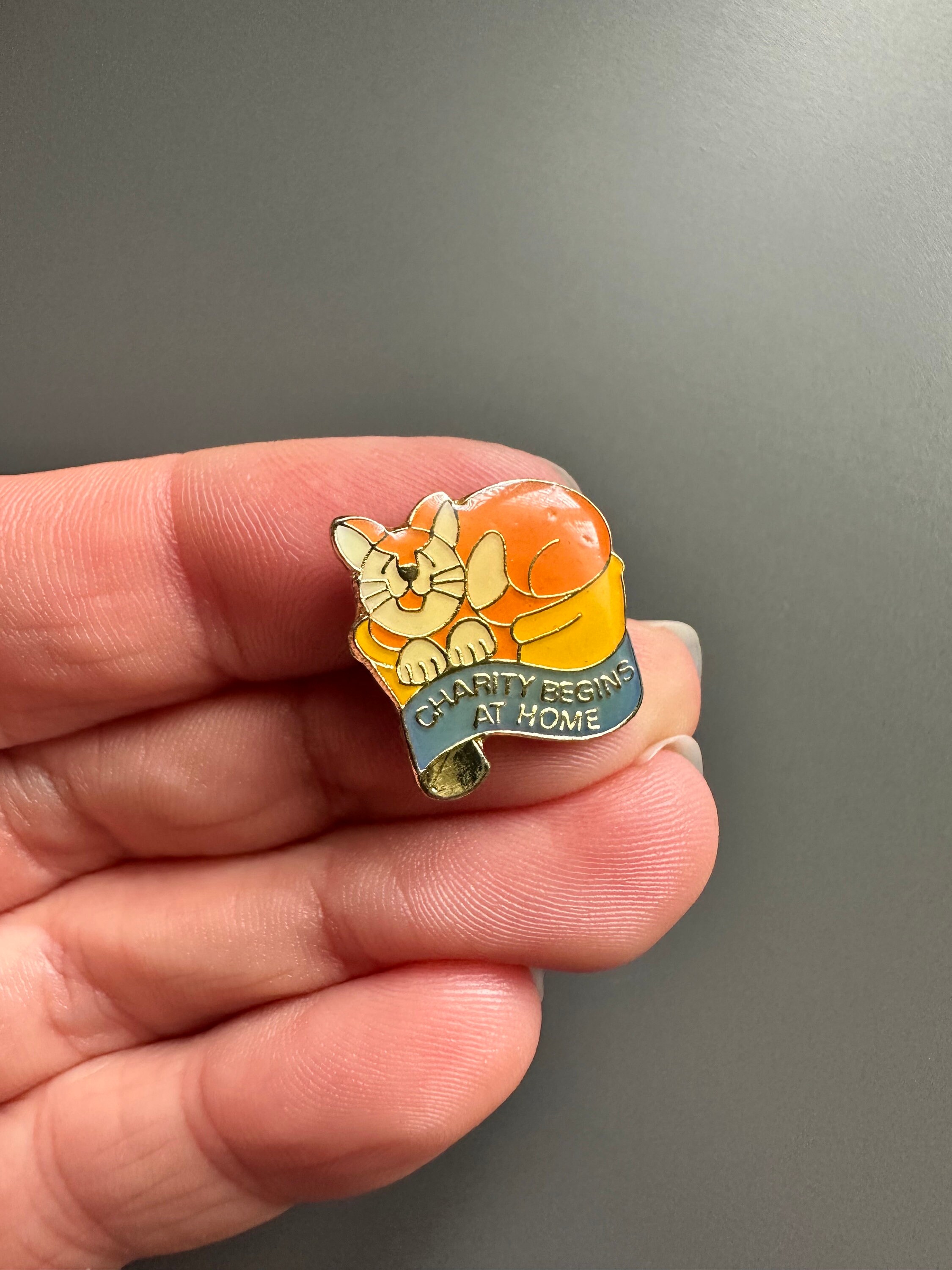 Vintage Ginger Tabby Cat Charity Begins at Home Enamel Lapel Pin Badge ...