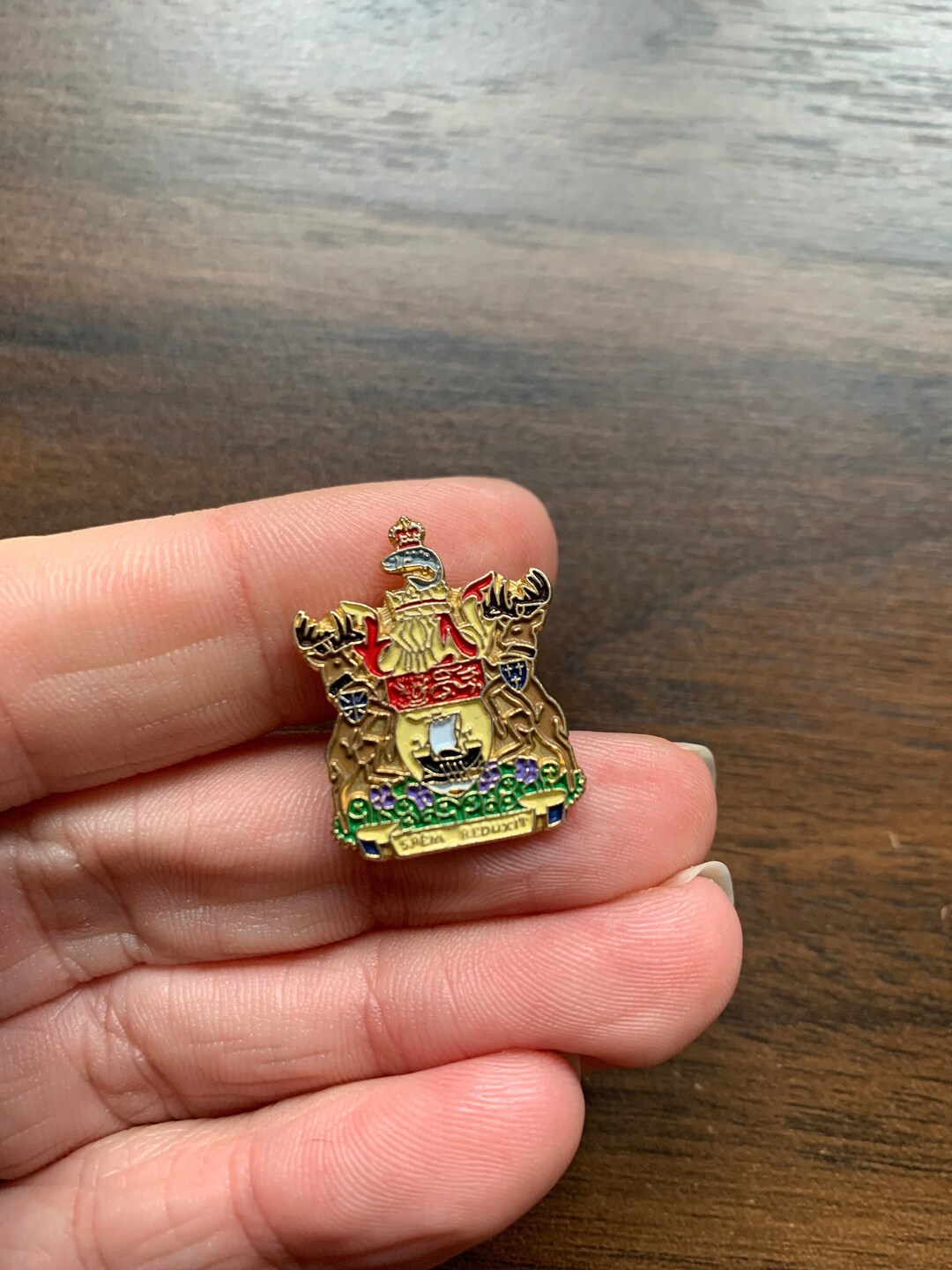 Vintage Spem Reduxit New Brunswick Coat of Arms Canada Enamel Lapel Pin ...