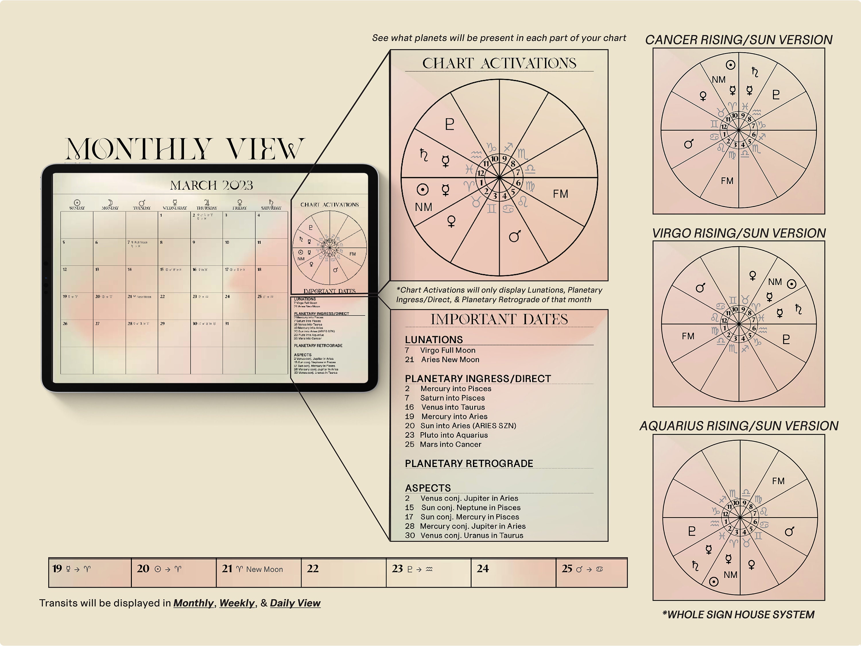 SCORPIO Digital Planner 2023 2024, Astrology Planner 2023, Monthly ...