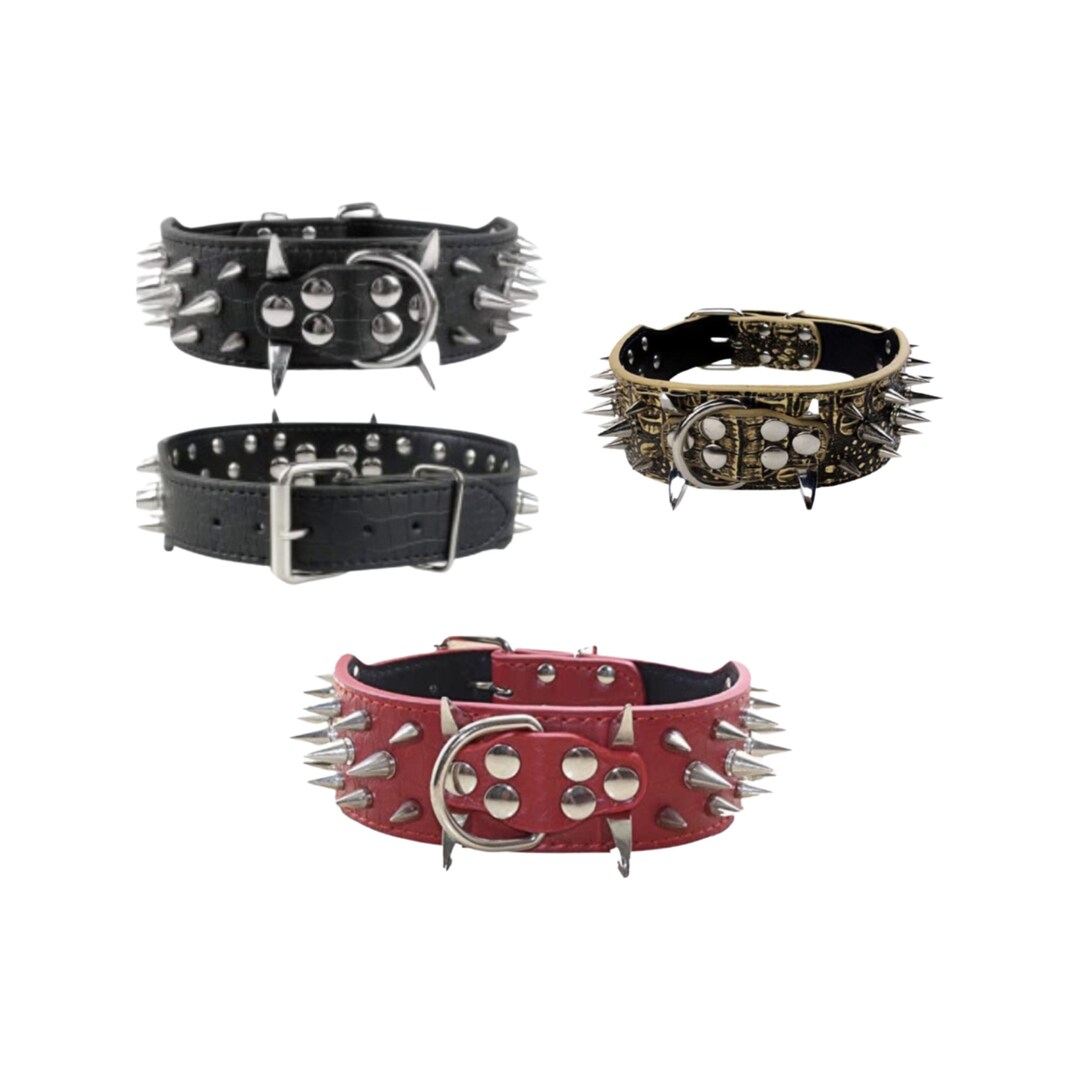 2 Width Padded Leather Sharp Spiked Studded, Anti-bite Collar and Chain ...