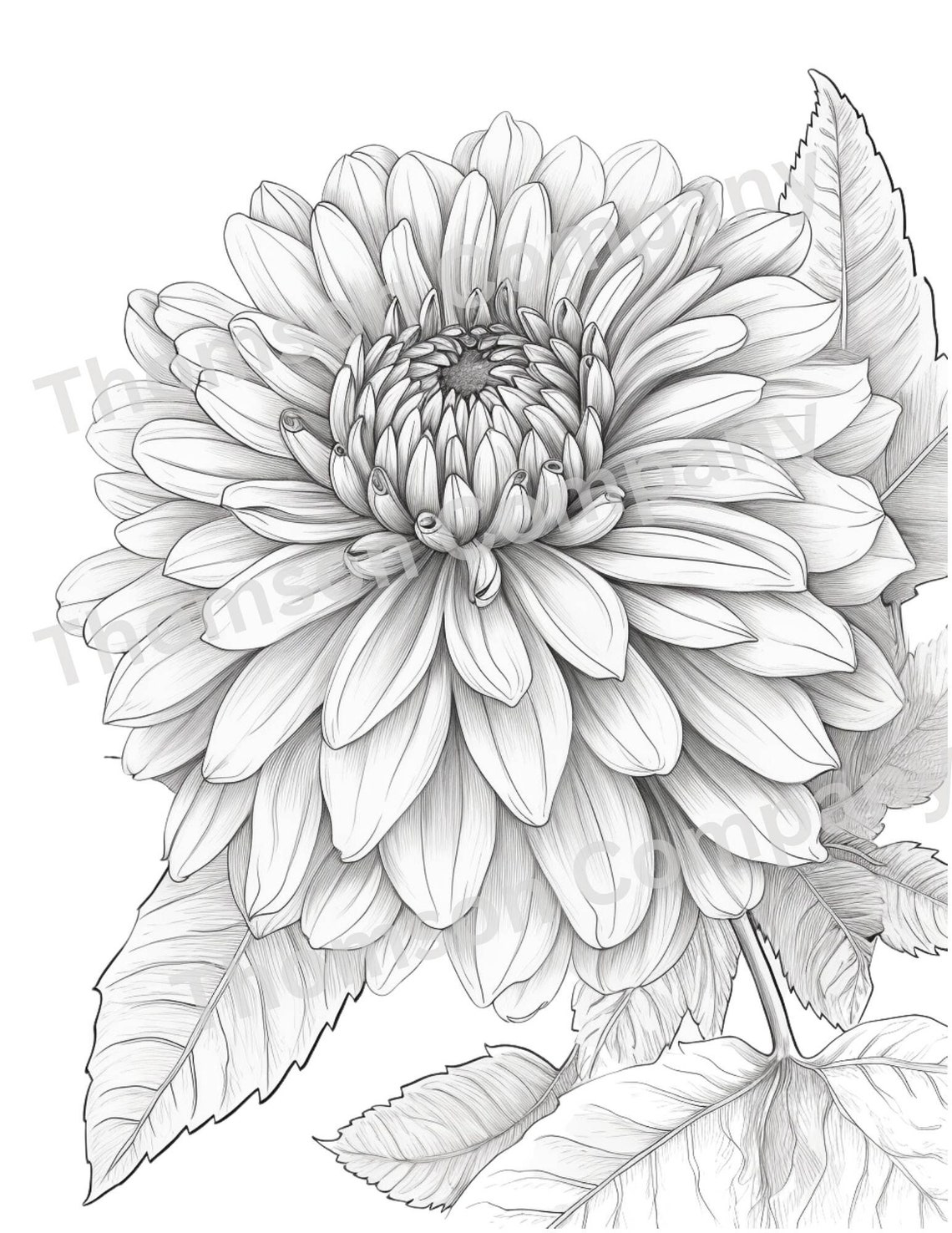 15 Grayscale Flower Coloring Flower Colouring Pages Printable - Etsy