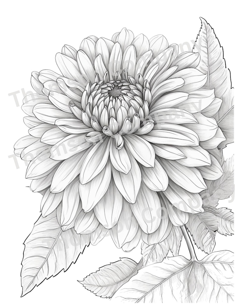 15 Grayscale Flower Coloring, Flower Coloring Pages Printable PDF ...