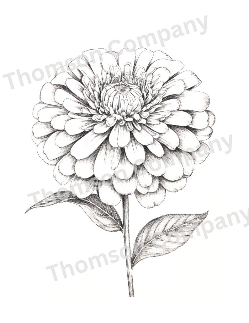 15 Grayscale Flower Coloring, Flower Coloring Pages Printable PDF ...