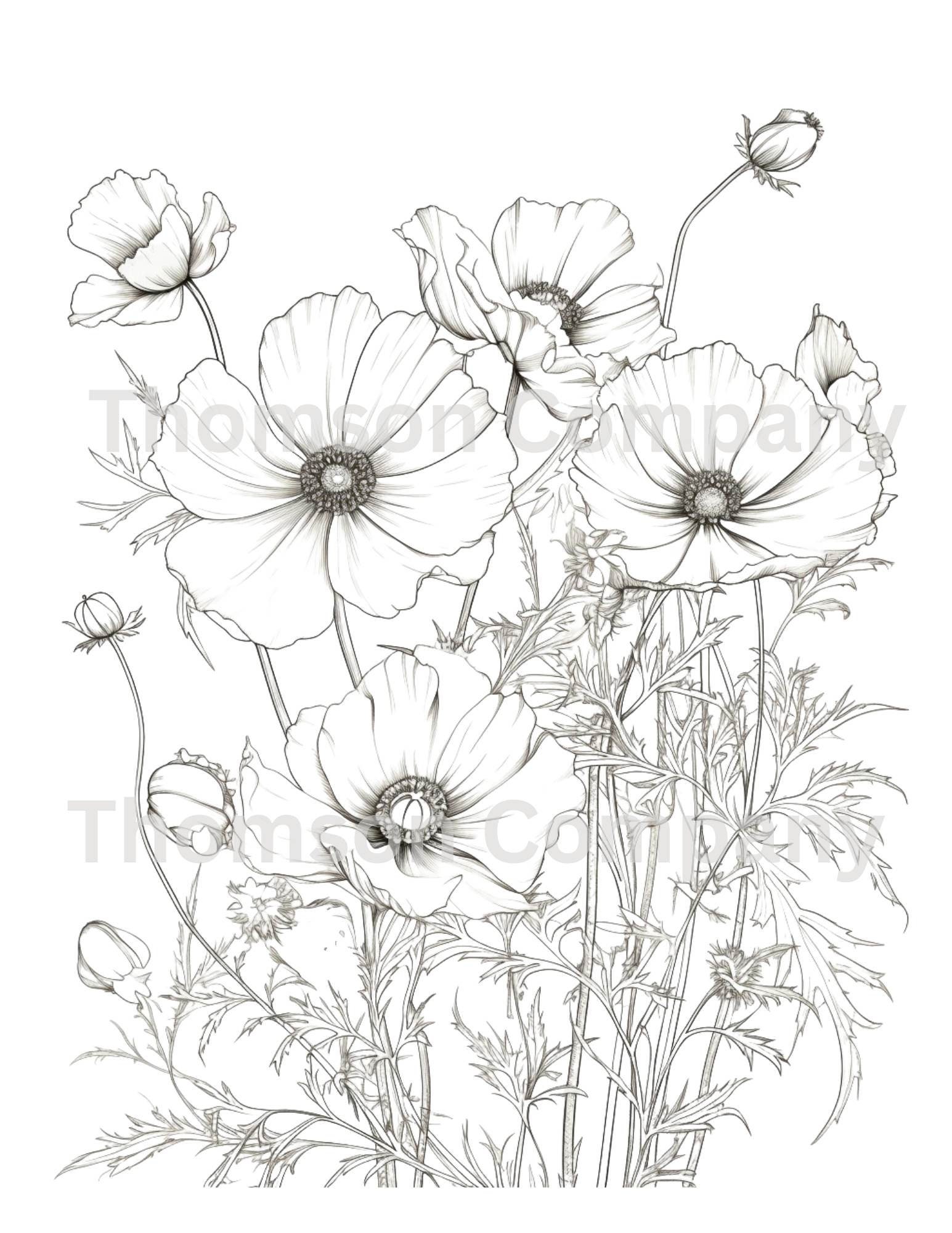 15 Grayscale Delightful Flower Coloring, Flower Coloring Pages ...