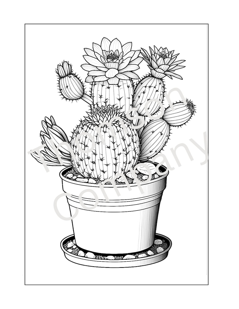 7 Plants Adult Coloring Pages Printable PDF Coloring Book Page (AI ...