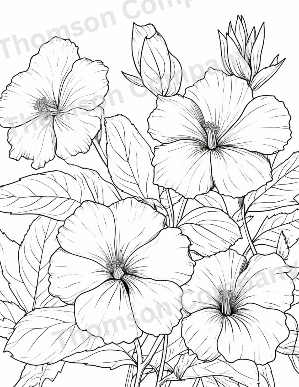 15 Grayscale Flower Coloring Flower Colouring Pages Printable - Etsy