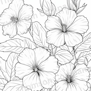 15 Grayscale Flower Coloring, Flower Coloring Pages Printable PDF ...