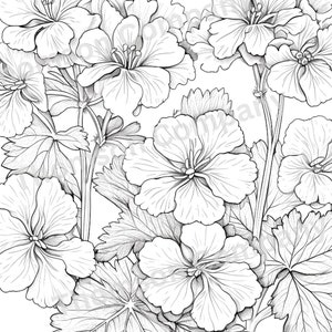 15 Grayscale Flower Coloring, Flower Coloring Pages Printable PDF ...