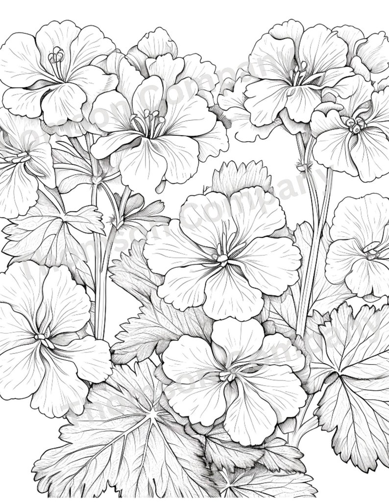 15 Grayscale Flower Coloring Flower Colouring Pages Printable - Etsy