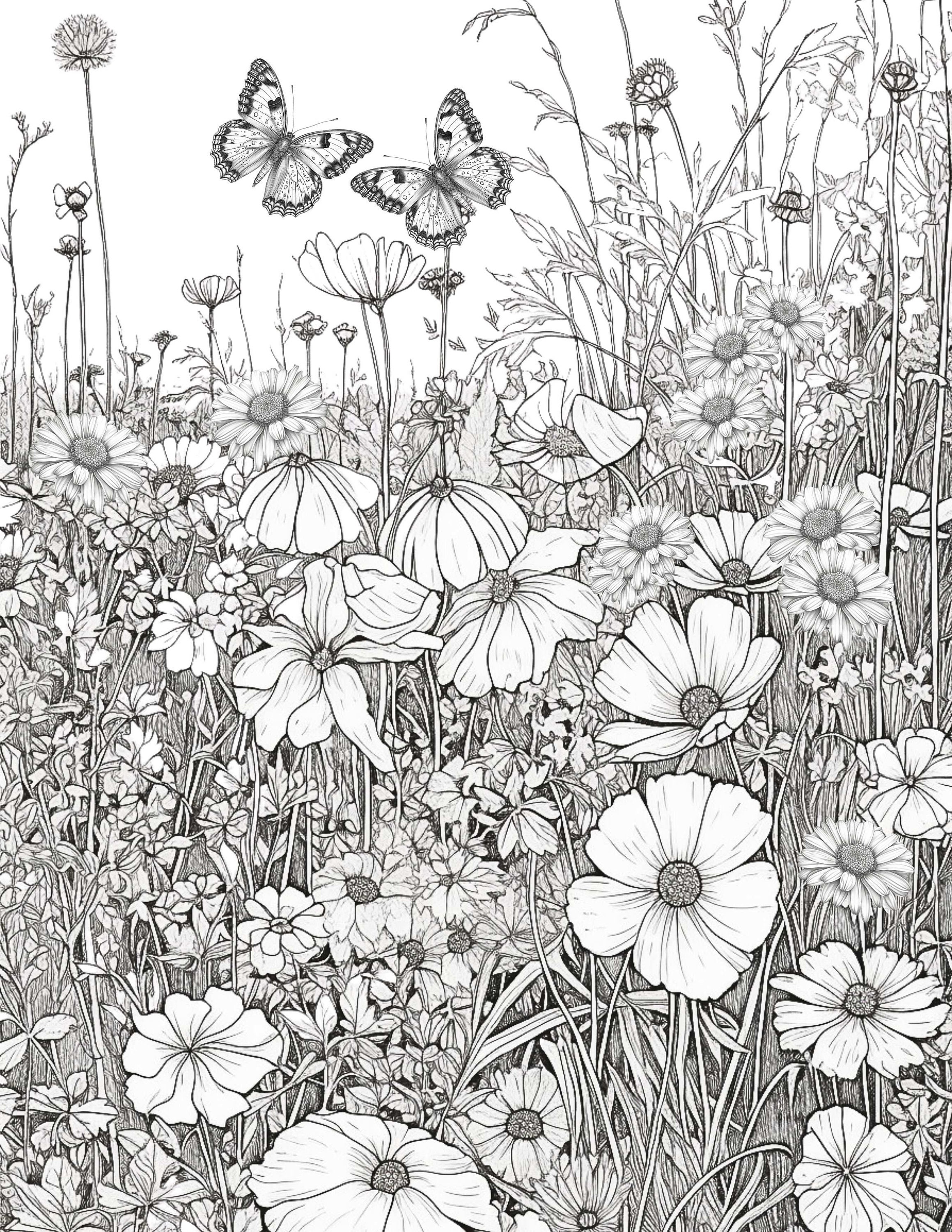 17 Grayscale Delightful Wildflower Coloring, Flower Coloring Pages ...