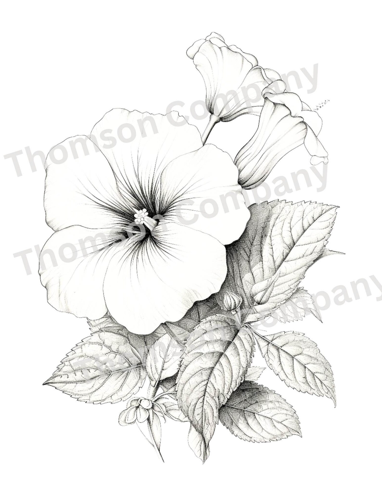 15 Grayscale Flower Coloring, Flower Coloring Pages Printable PDF ...