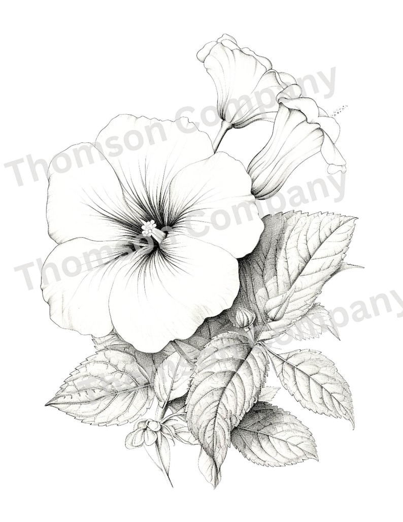 15 Grayscale Flower Coloring, Flower Coloring Pages Printable PDF ...