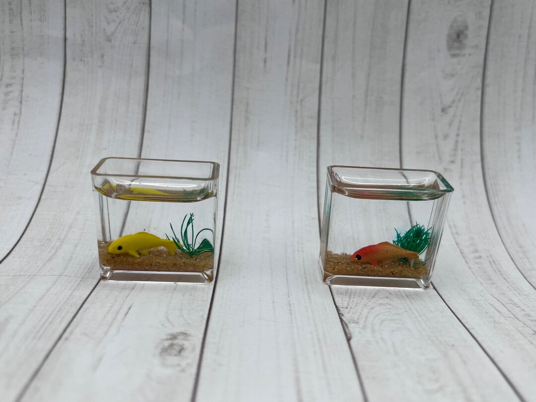 Dollhouse Fish Tank / Tiny Things / Miniature Aquarium - Etsy