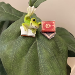 Mini Reading Frog With Books, Fairy Garden Miniatures. Craft Items - Etsy