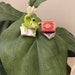 Mini Reading Frog With Books, Fairy Garden Miniatures. Craft Items - Etsy