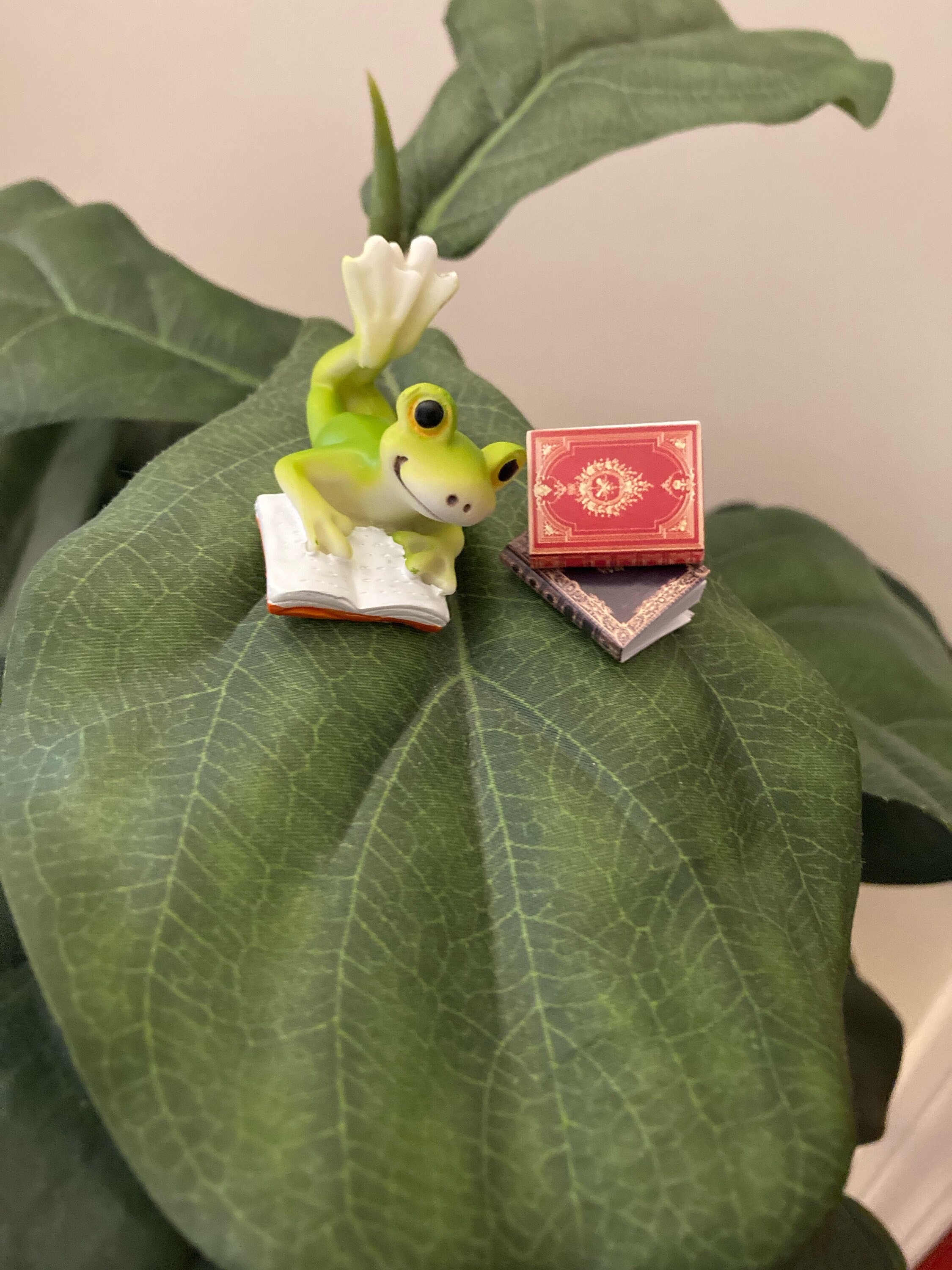 Mini Reading Frog With Books, Fairy Garden Miniatures. Craft Items - Etsy