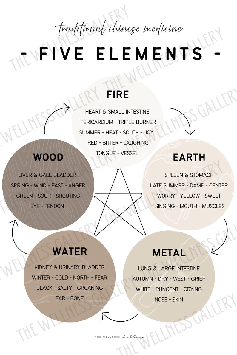 TCM Five Element Poster, Acupuncture Poster - Etsy