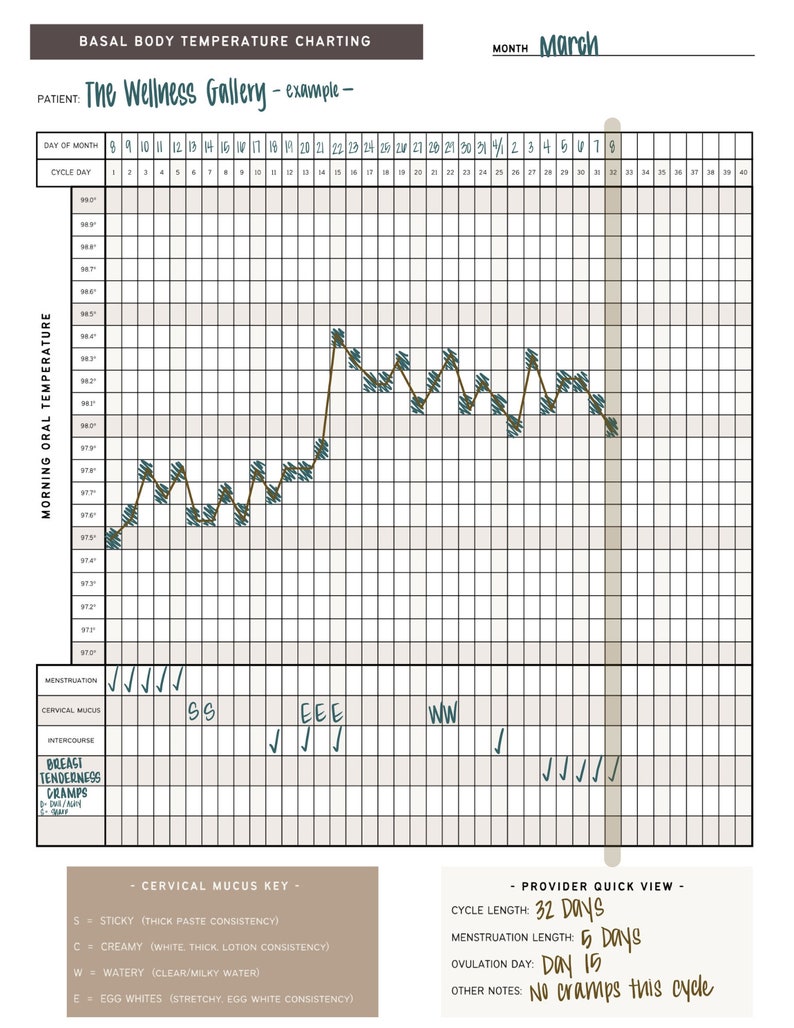 Basal Body Temperature Chart | Digital Download - Etsy
