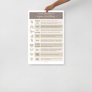 TCM Function Poster, Acupuncture Poster - Etsy
