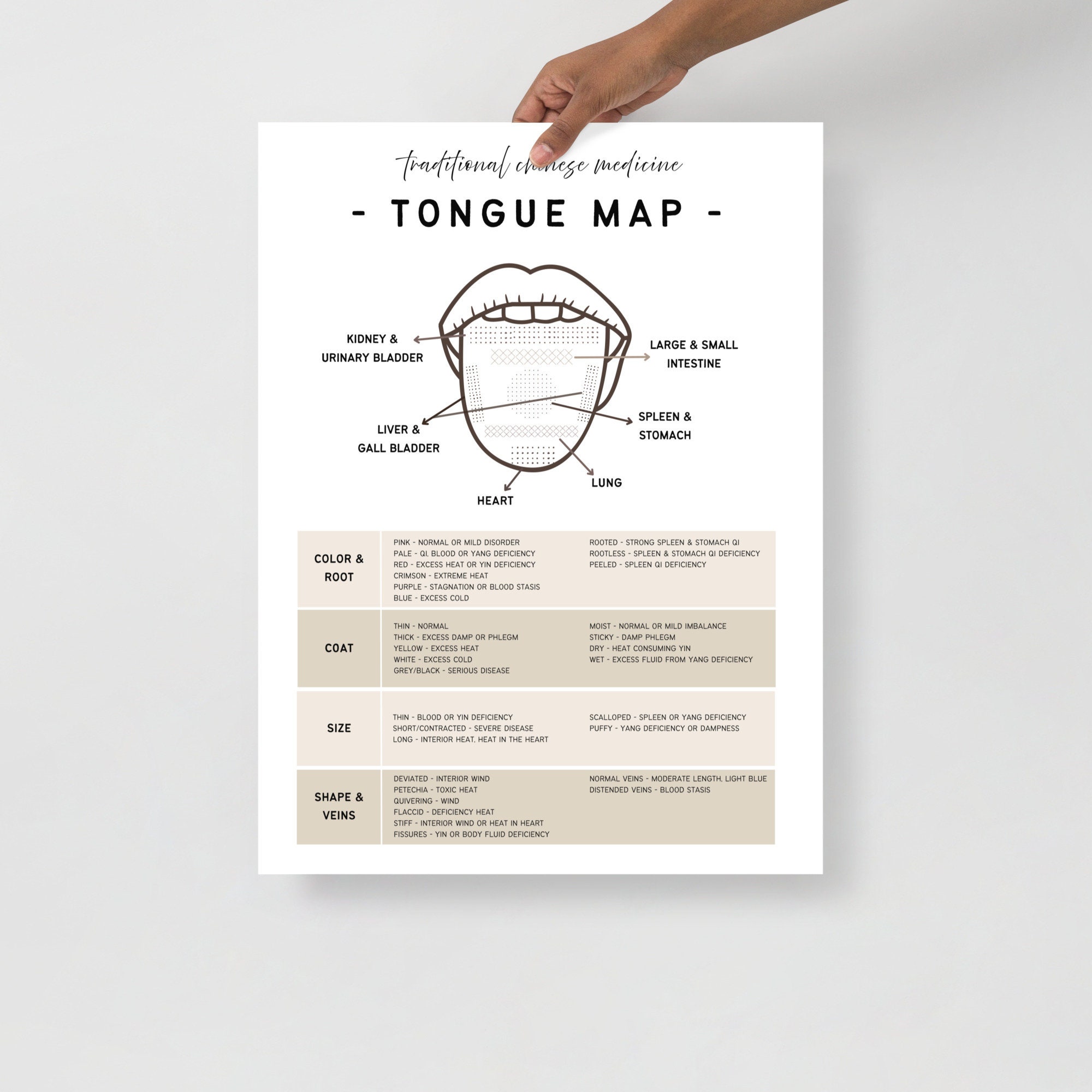 TCM Tongue Poster (white Background), Acupuncture Poster - Etsy